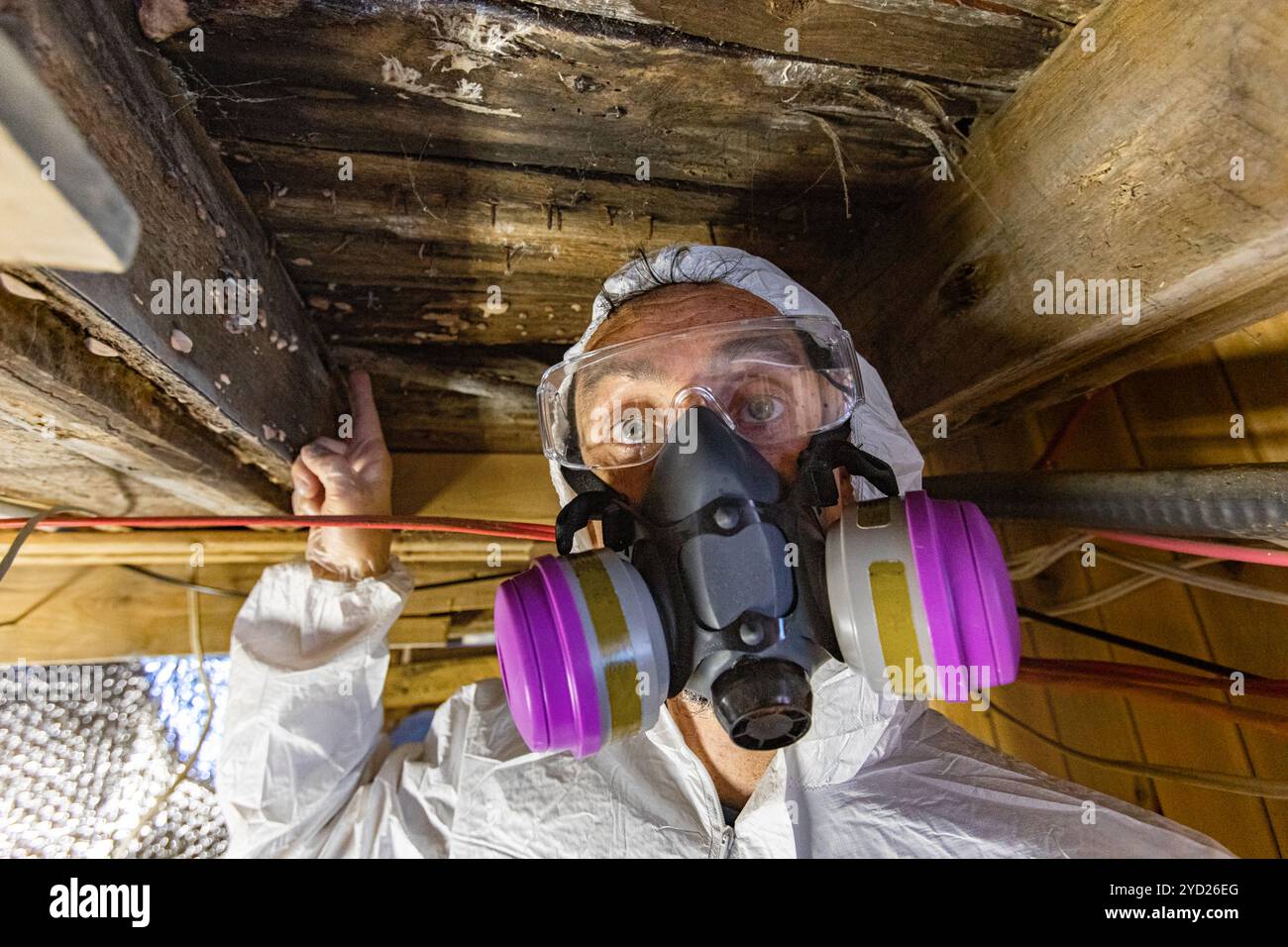 Indoor damp and air quality or IAQ testing Stock Photo - Alamy