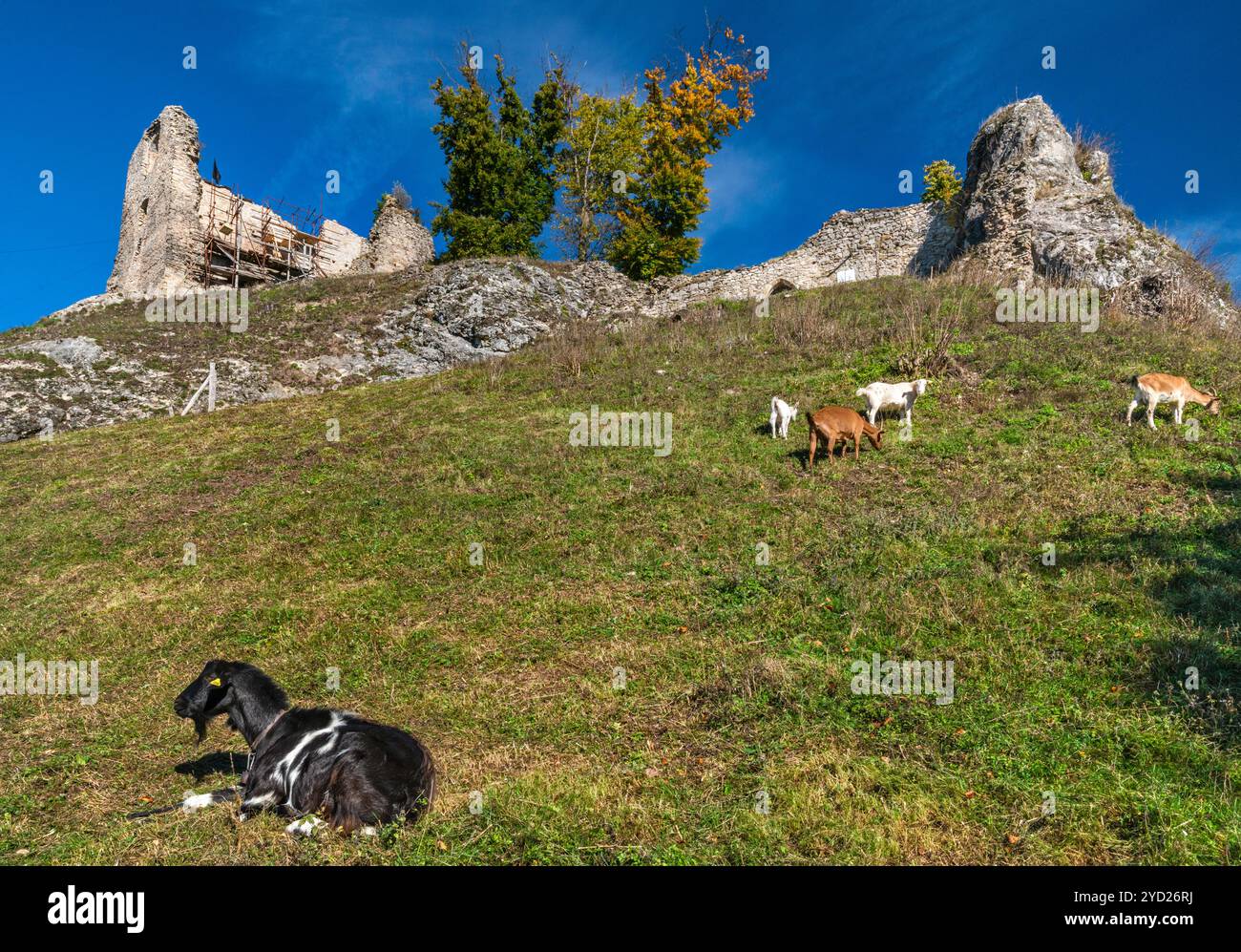 Hanigovce Castle {Hanigovský hrad, Novy hrad)} ruins, 14th century ...