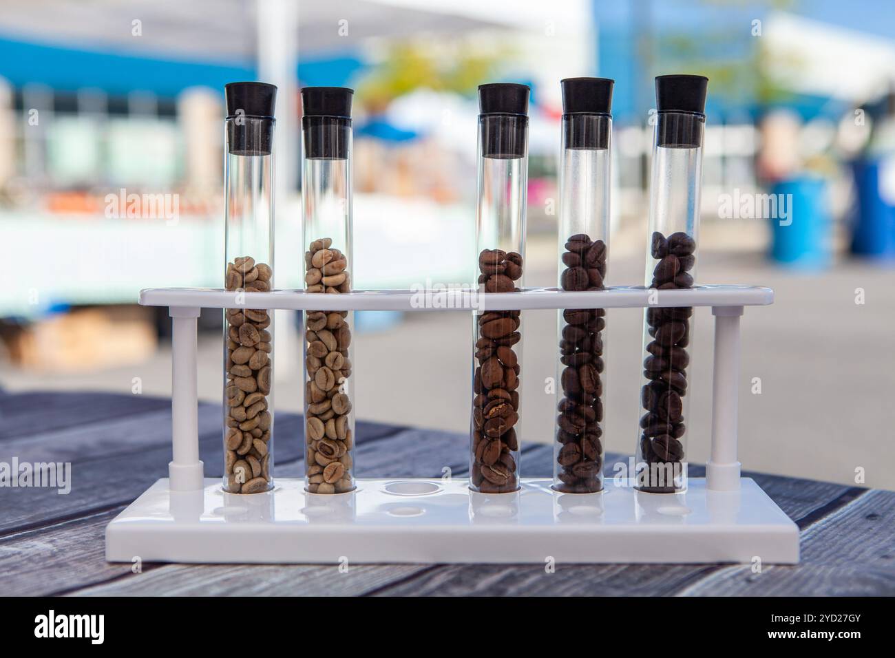 Samples of coffee beans shown as demo Stock Photo - Alamy
