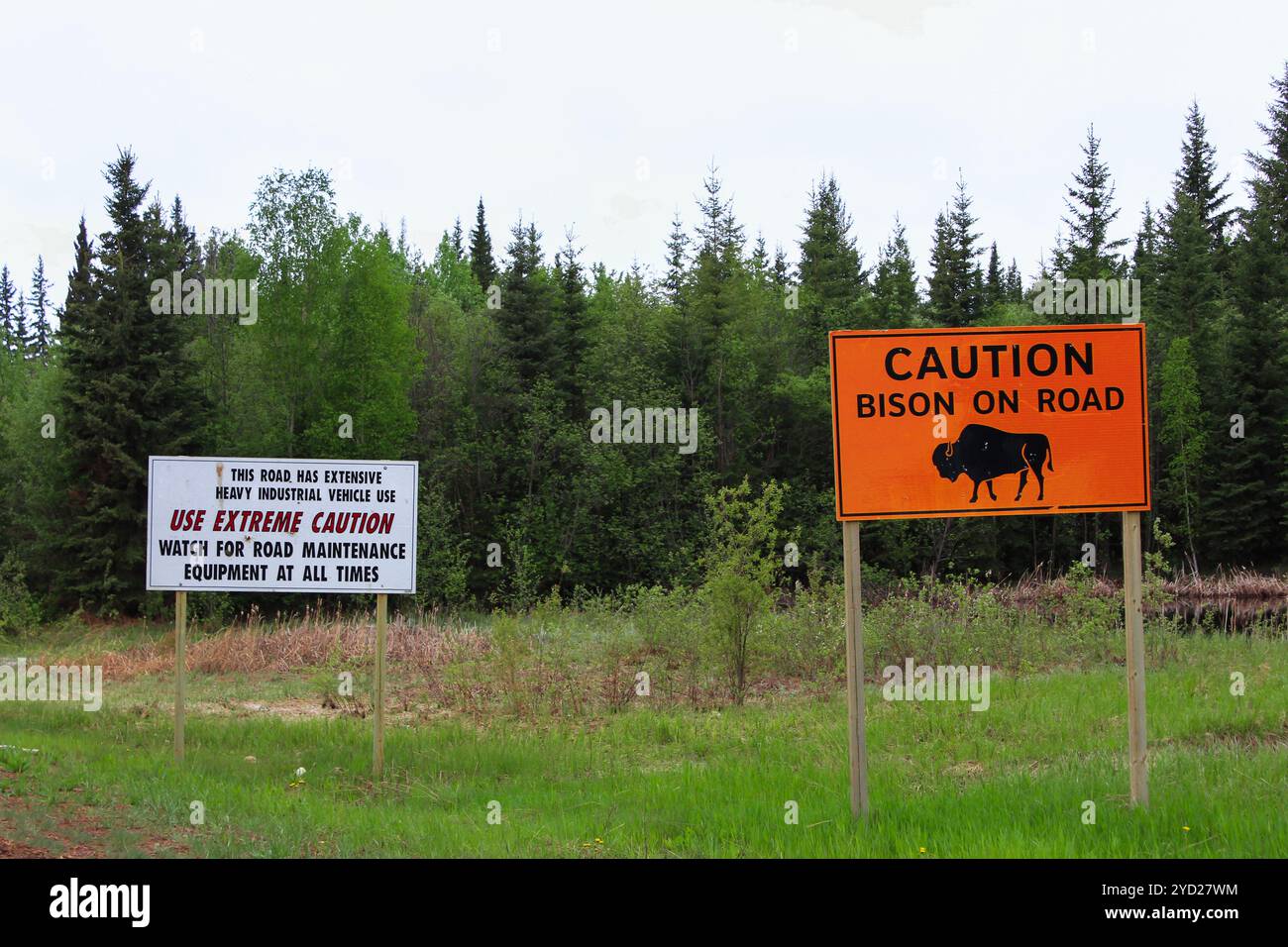 Caution, bison on road big orange sign Stock Photo - Alamy