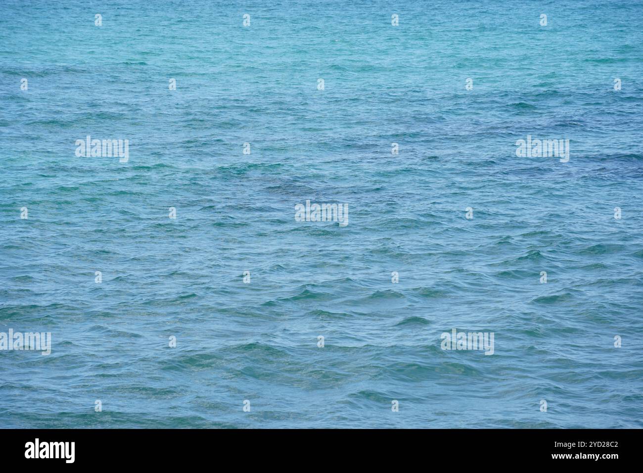 Sea water surface, wave texture. Calm seascape. The background of the ...