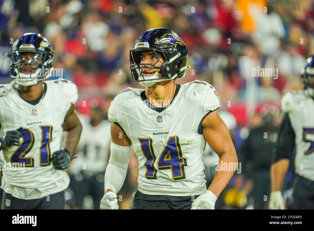 Tampa Bay, Florida, USA, October 21, 2024, Baltimore Ravens player Kyle ...