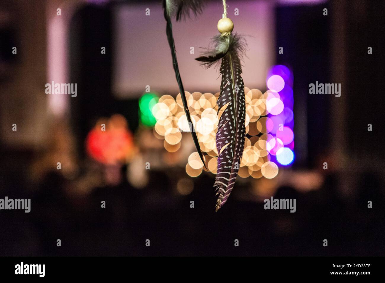 Closeup picture of a spotted feather, with yellow and purple bokeh ...