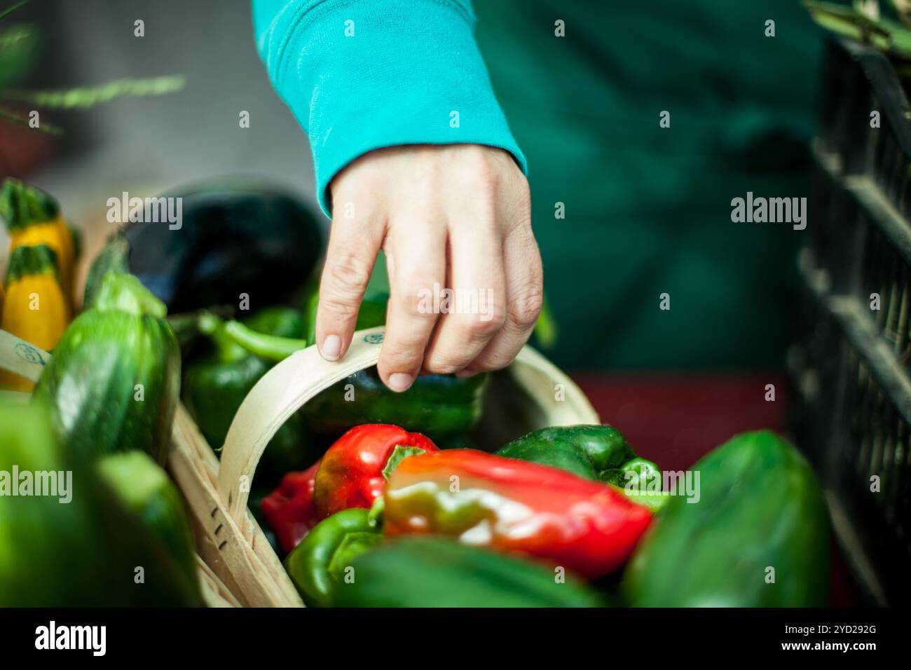 Hand picking up a red and green peppers basket Stock Photo - Alamy