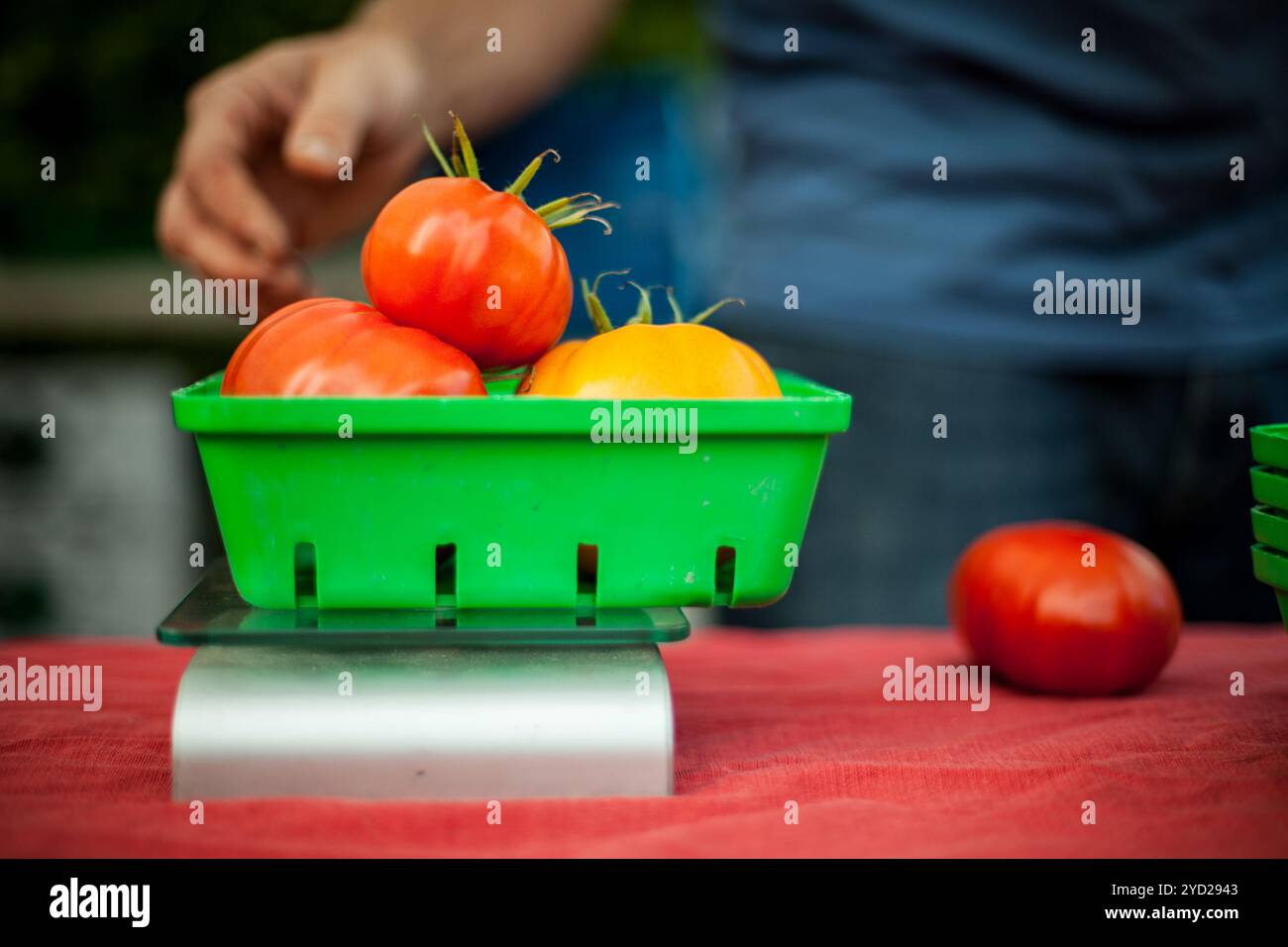 Digital tomatoes hi-res stock photography and images - Alamy