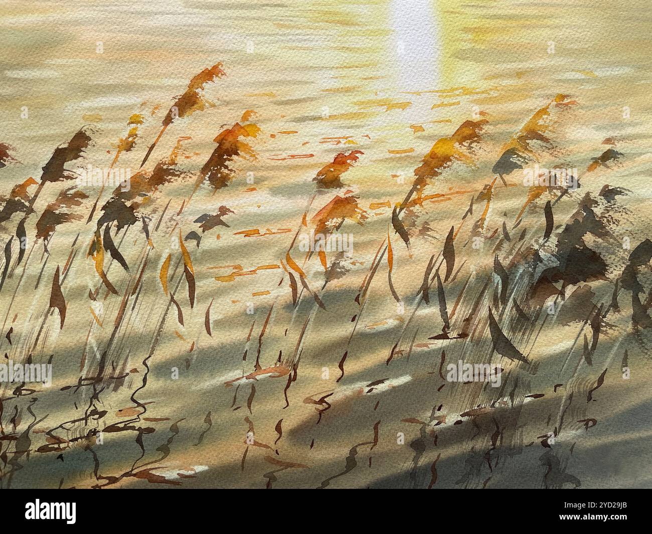 Evening by the lake in evening sunlight watercolor background Stock ...
