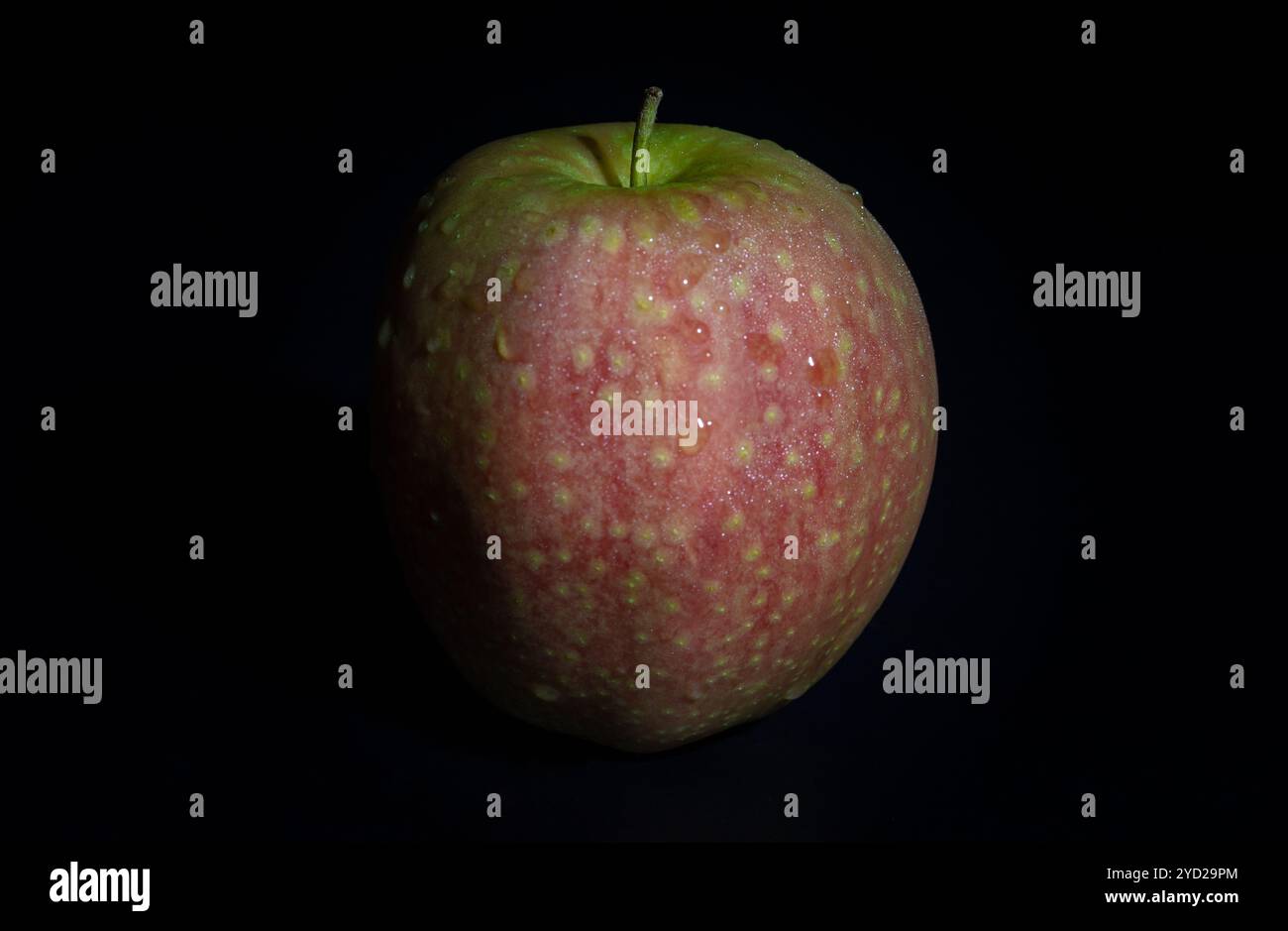 One fresh kissabel apple fruit. Naturally pink flesh with a unique ...