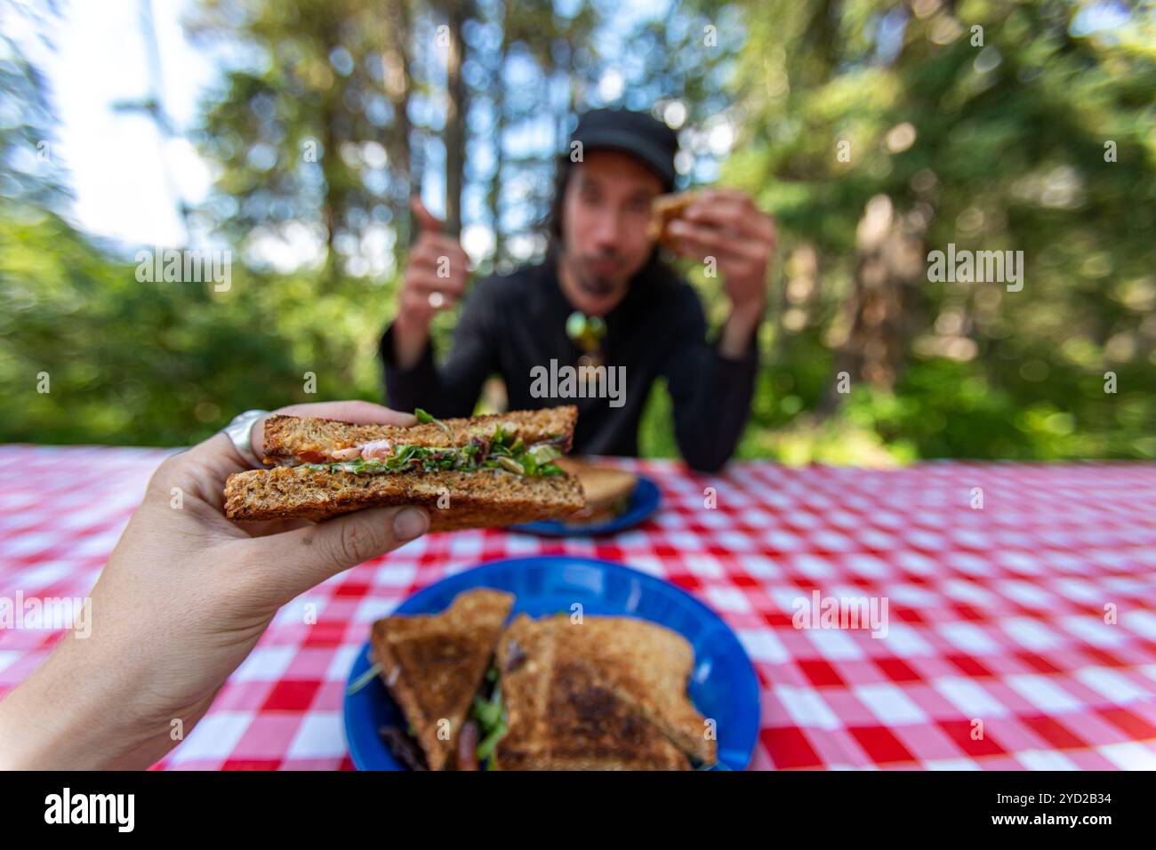 Picnicking family hi-res stock photography and images - Alamy