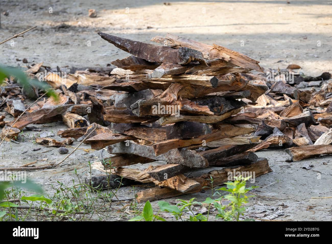 Cut tree pieces stack hi-res stock photography and images - Alamy