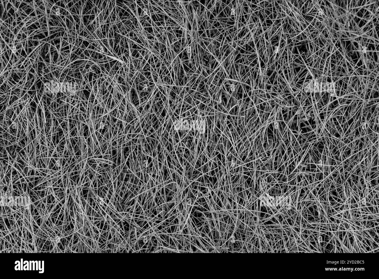 Flag baku capital city azerbaijan Black and White Stock Photos & Images ...