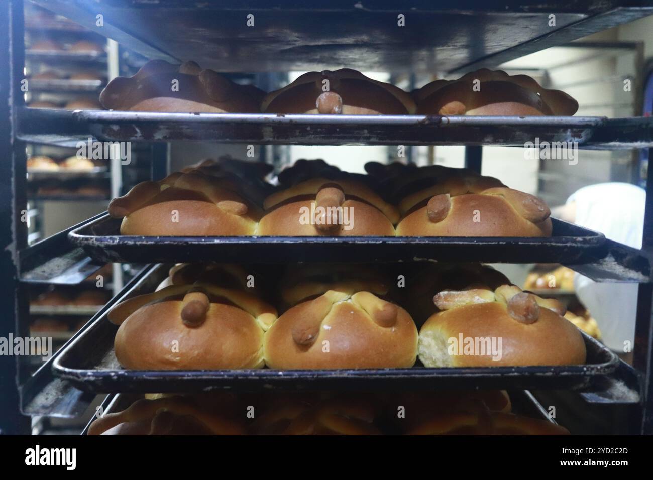 The Day of the Dead breads are seen during its elaboration, which have ...