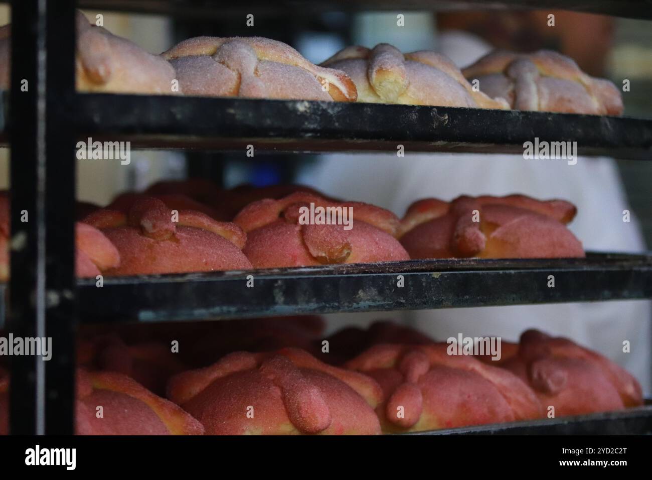 The Day of the Dead breads are seen during its elaboration, which have ...