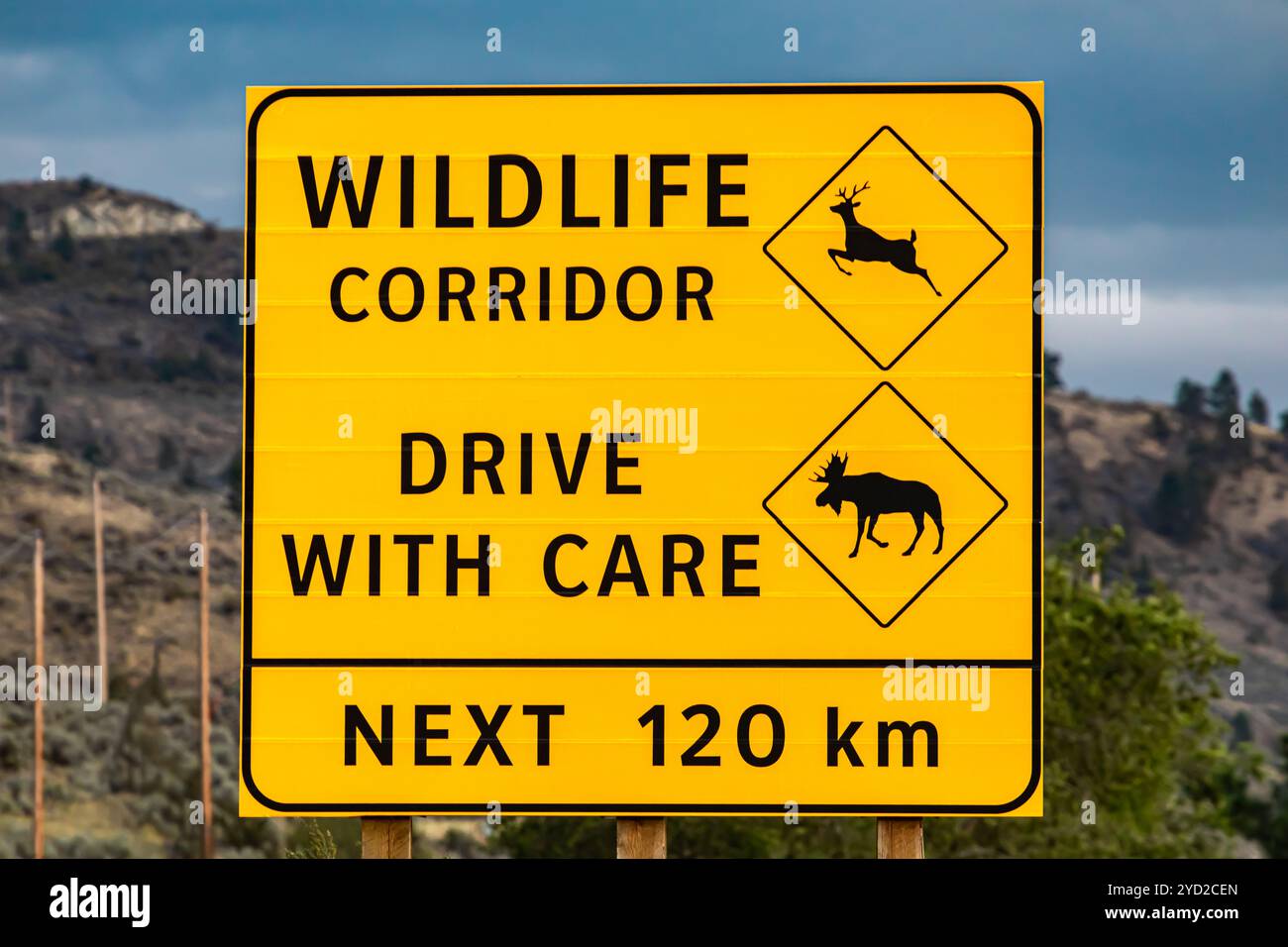 Big yellow wildlife warning road Sign Stock Photo - Alamy
