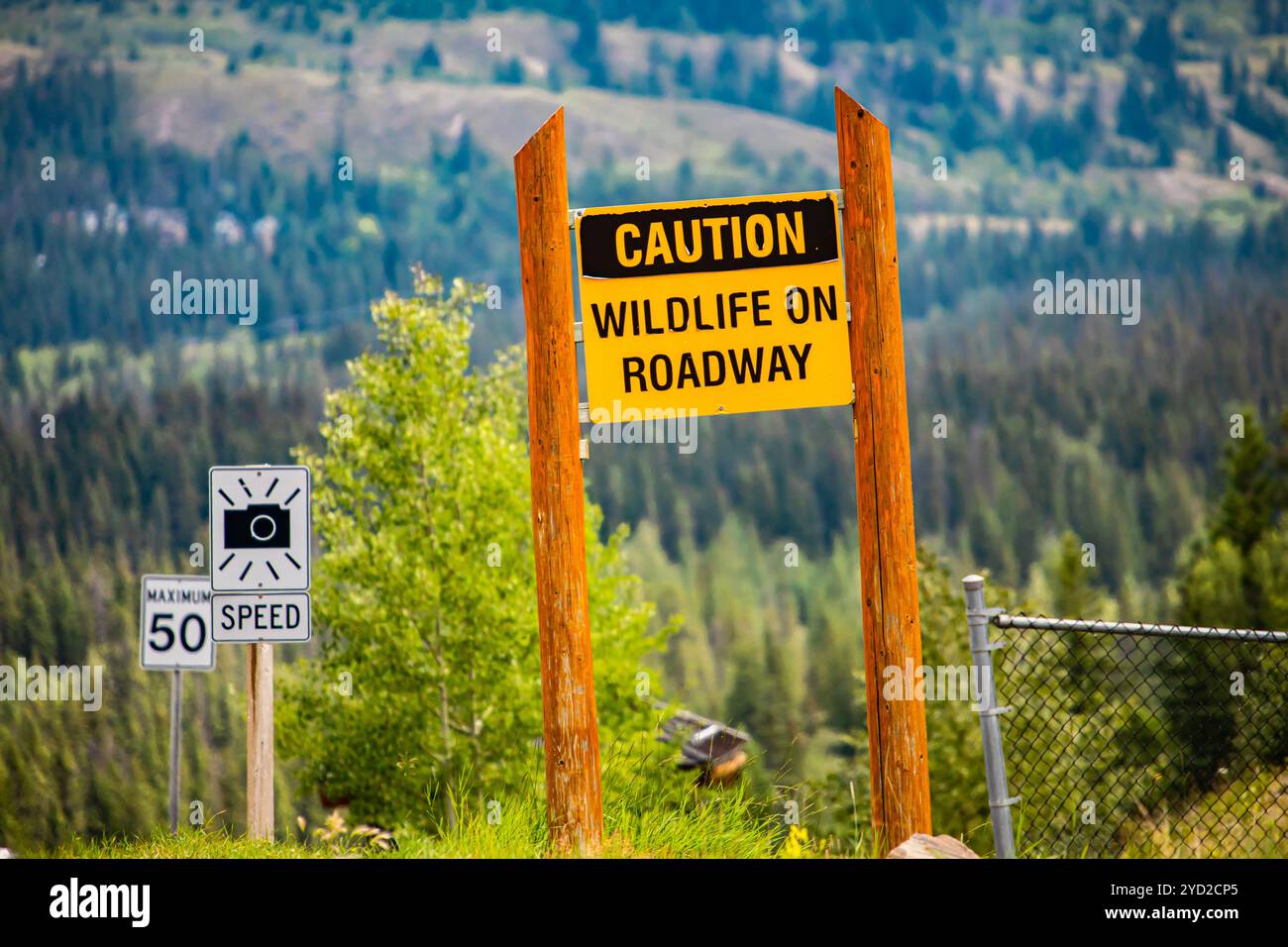 Caution wildlife on roadway, yellow warning sign between two wooden ...