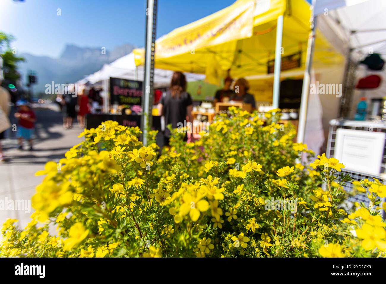 Atmosphere during outdoor harvest fair Stock Photo - Alamy