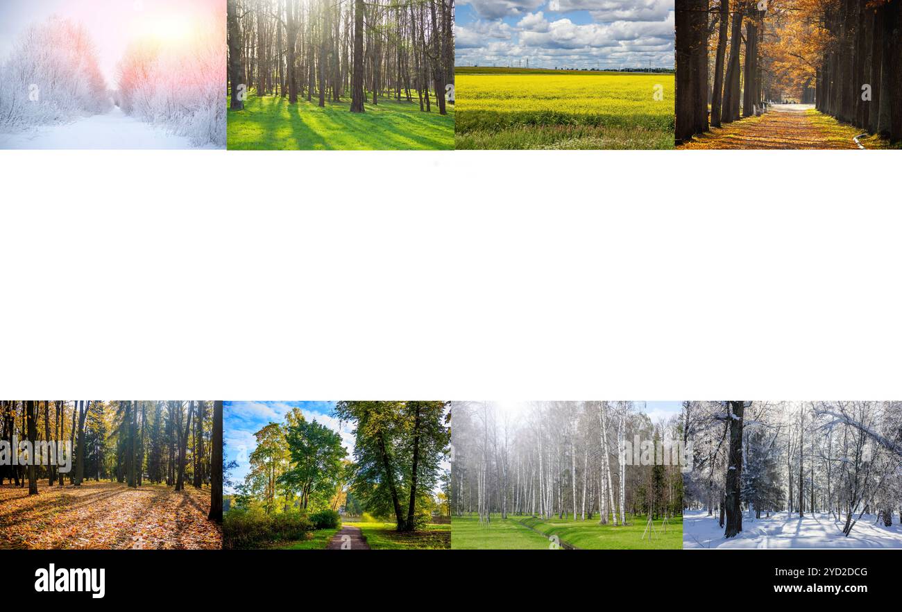 Collage seasons . All season. Seasons in one photo. Winter spring ...