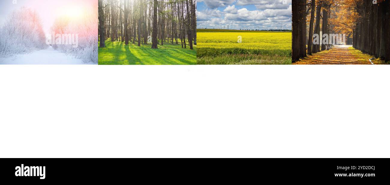 Collage seasons . All season. Seasons in one photo. Winter spring ...