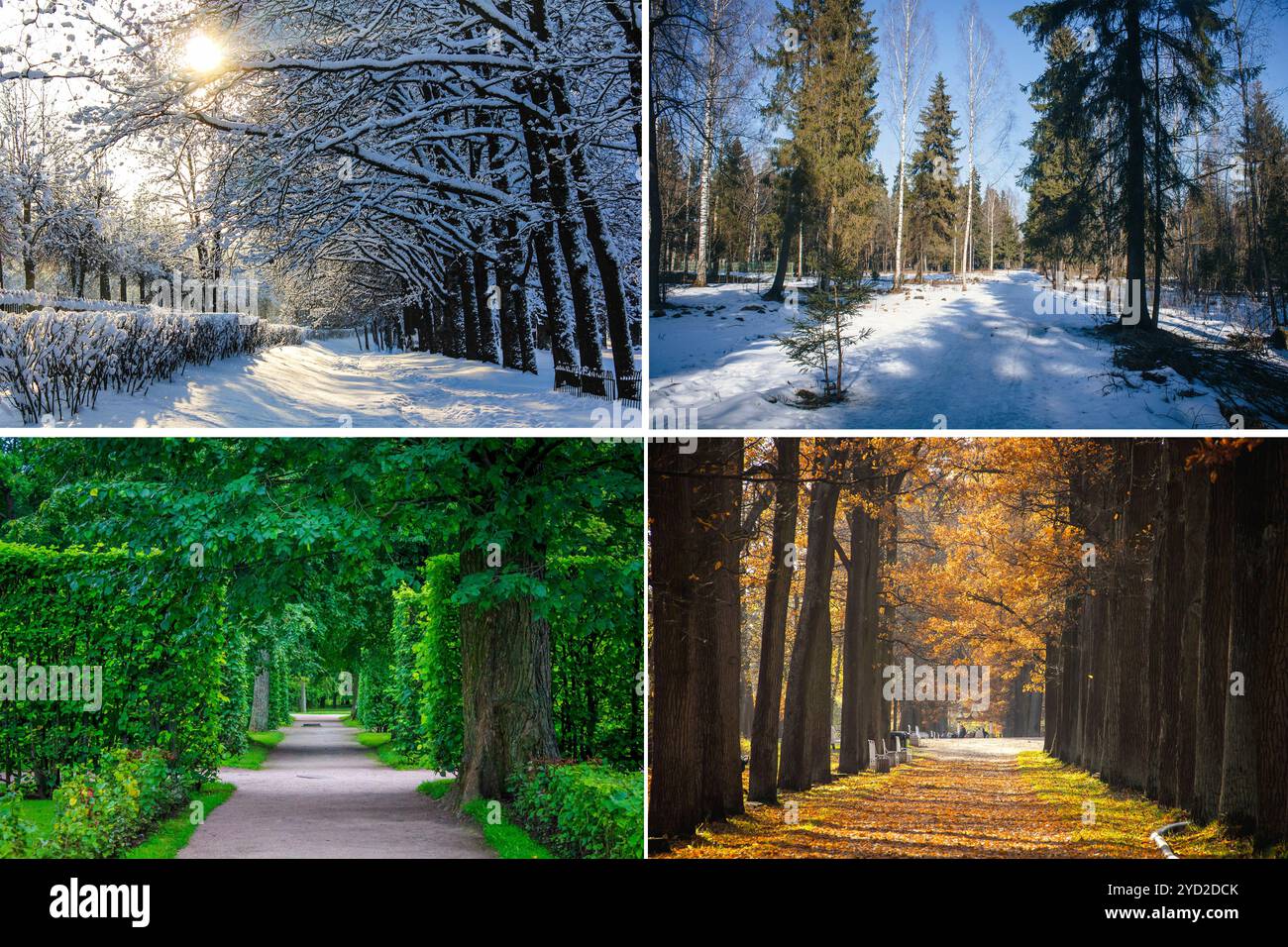 Collage seasons . All season. Seasons in one photo. Winter spring ...