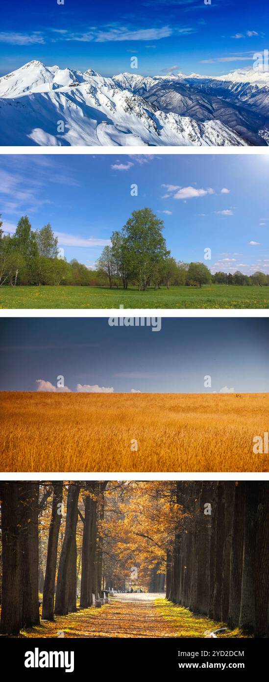 Collage seasons . All season. Seasons in one photo. Winter spring ...
