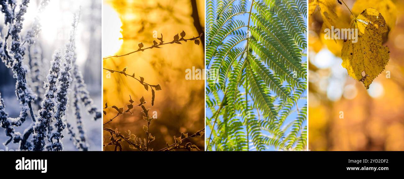 Collage seasons . All season. Seasons in one photo. Winter spring ...