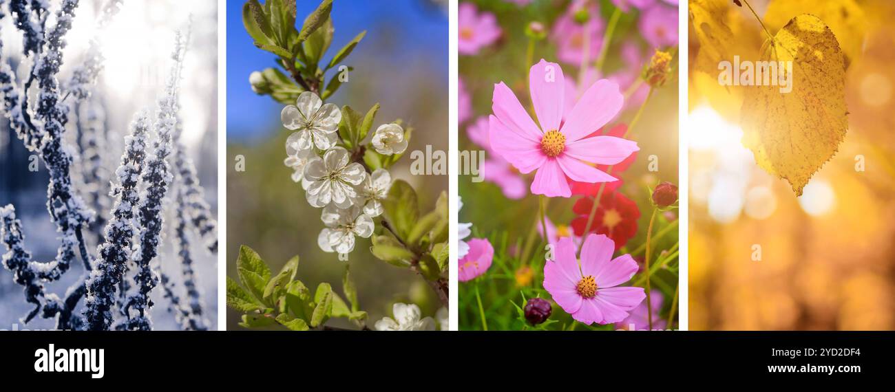 Collage seasons . All season. Seasons in one photo. Winter spring ...