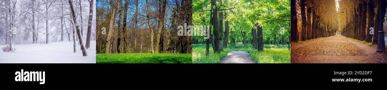 Collage seasons . All season. Seasons in one photo. Winter spring ...