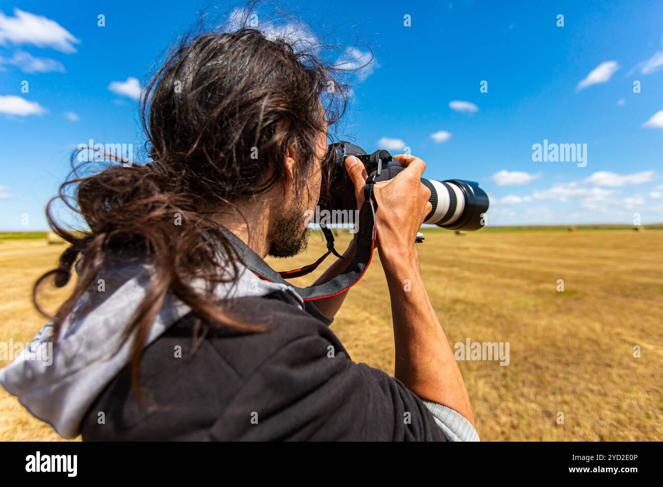 Summer grass shooting nature hi-res stock photography and images - Alamy