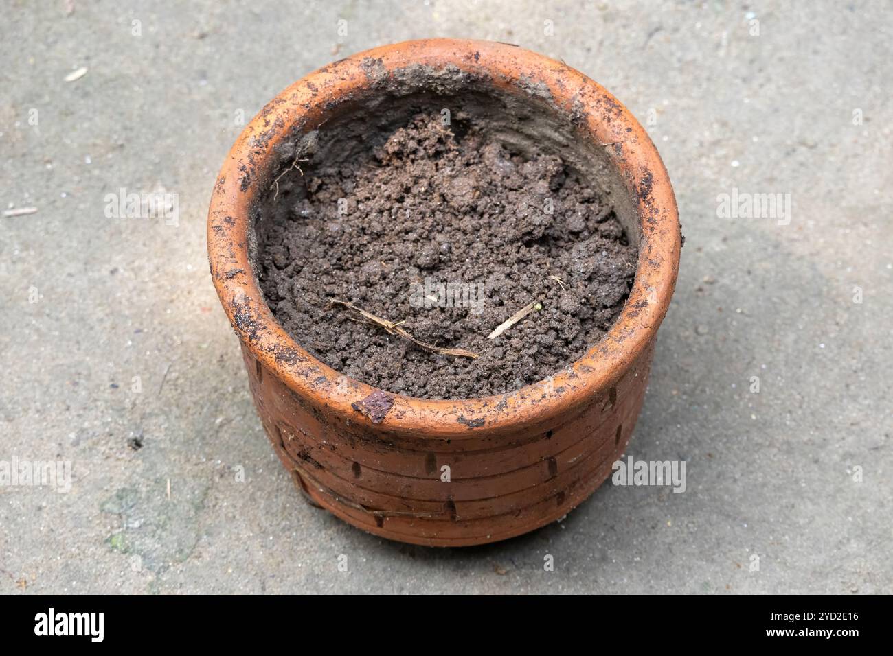 A clay pot filled with soil mixed with cow dung, is ready to plant tree ...