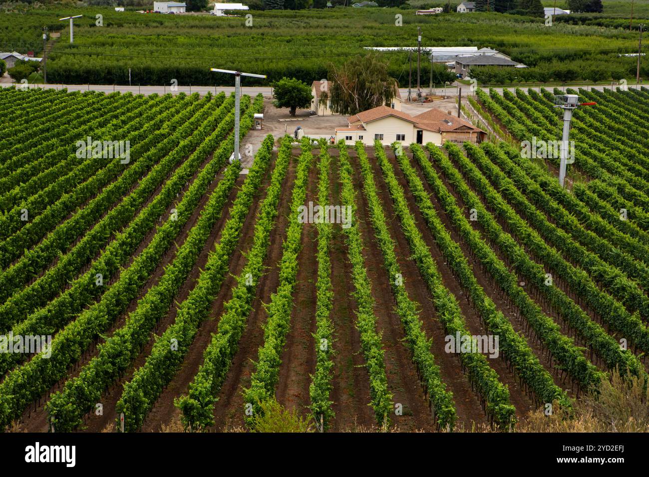 Vineyard farmhouse in Okanagan valley Stock Photo - Alamy