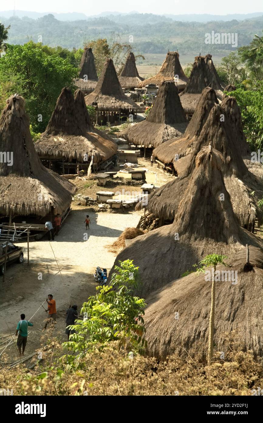 Sumbanese traditional houses in the traditional village of Praijing in ...