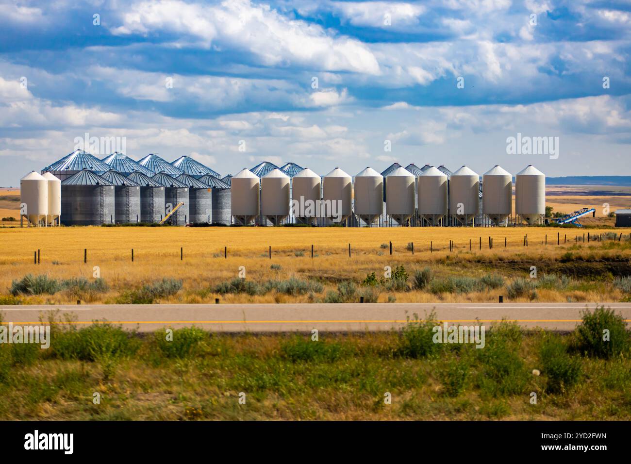 Bulk storage silos grouped at large farm Stock Photo - Alamy