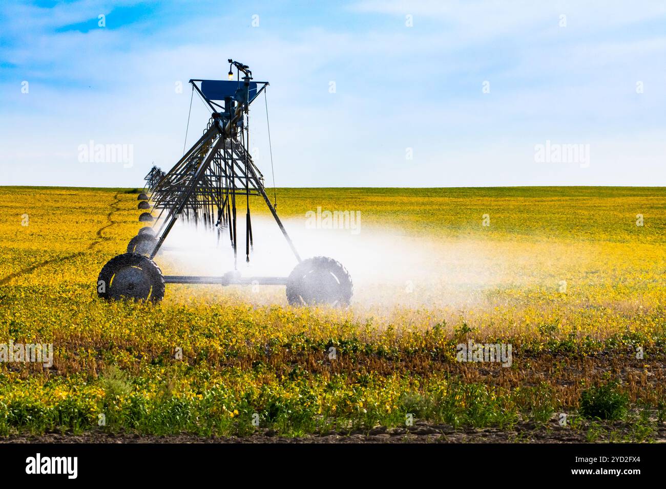 Irrigation sprinkler watering farm crops Stock Photo - Alamy