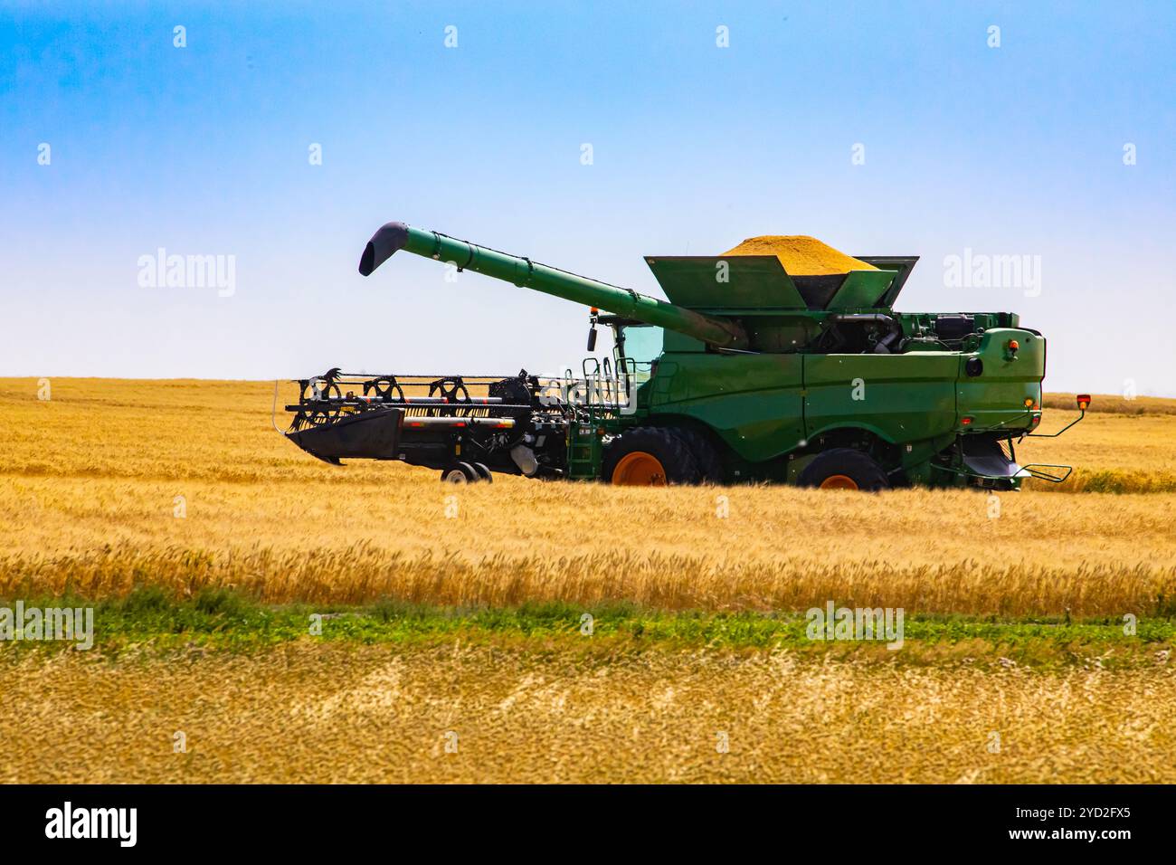 Combine harvester at work in crop field Stock Photo - Alamy