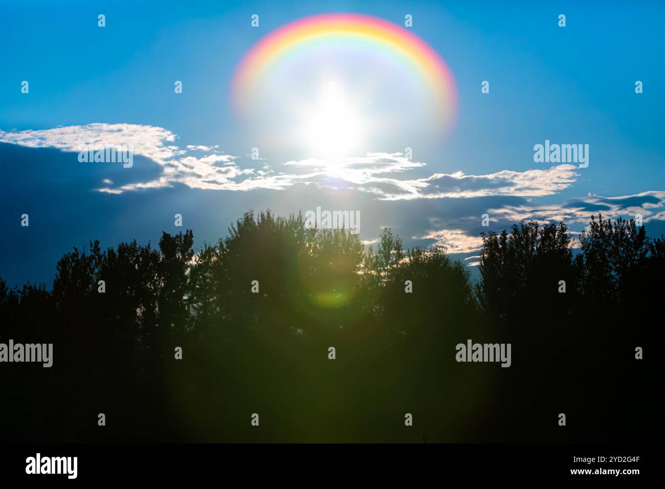 Beautiful sky, green forest trees with lens flare Stock Photo - Alamy