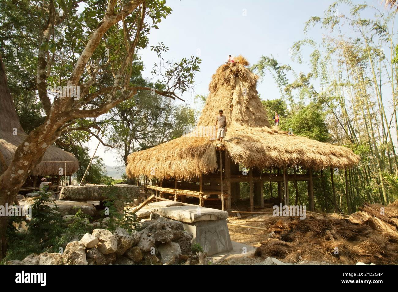 A house is getting new thatches on its roof in the traditional village ...