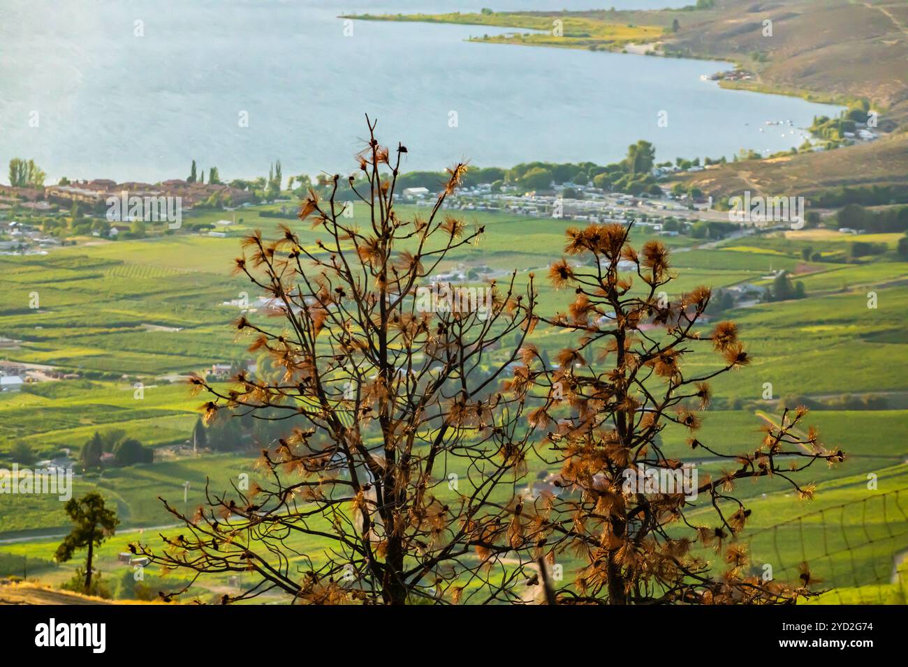 Beautiful landscape valley hi-res stock photography and images - Alamy