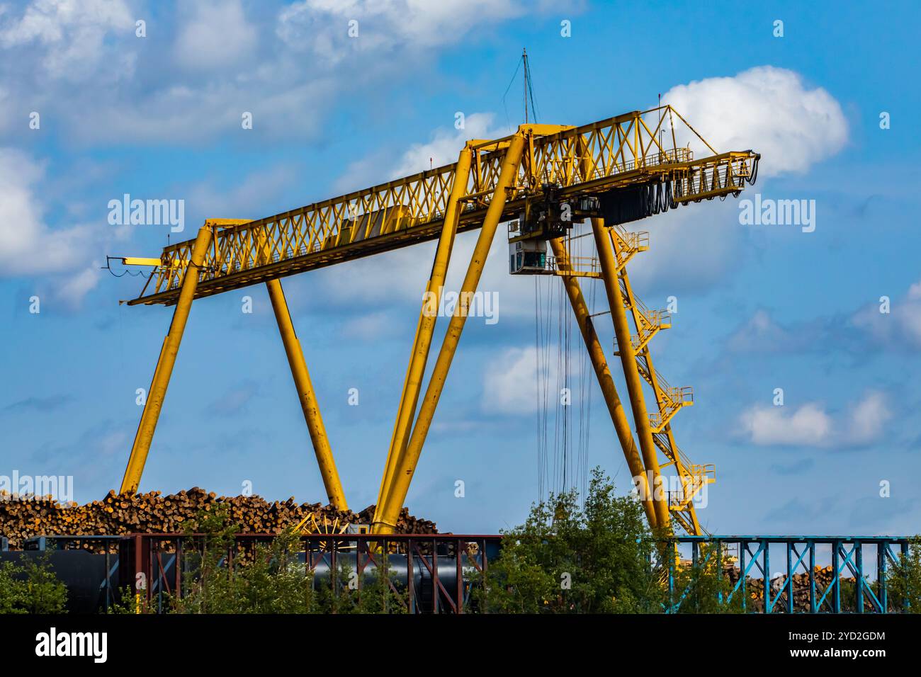 Industrial logging crane dwarfs log pile Stock Photo - Alamy