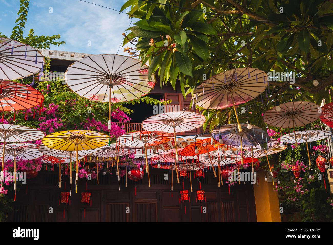 Colorful decorative Asian Japanese umbrellas decorate a street in Hoi ...