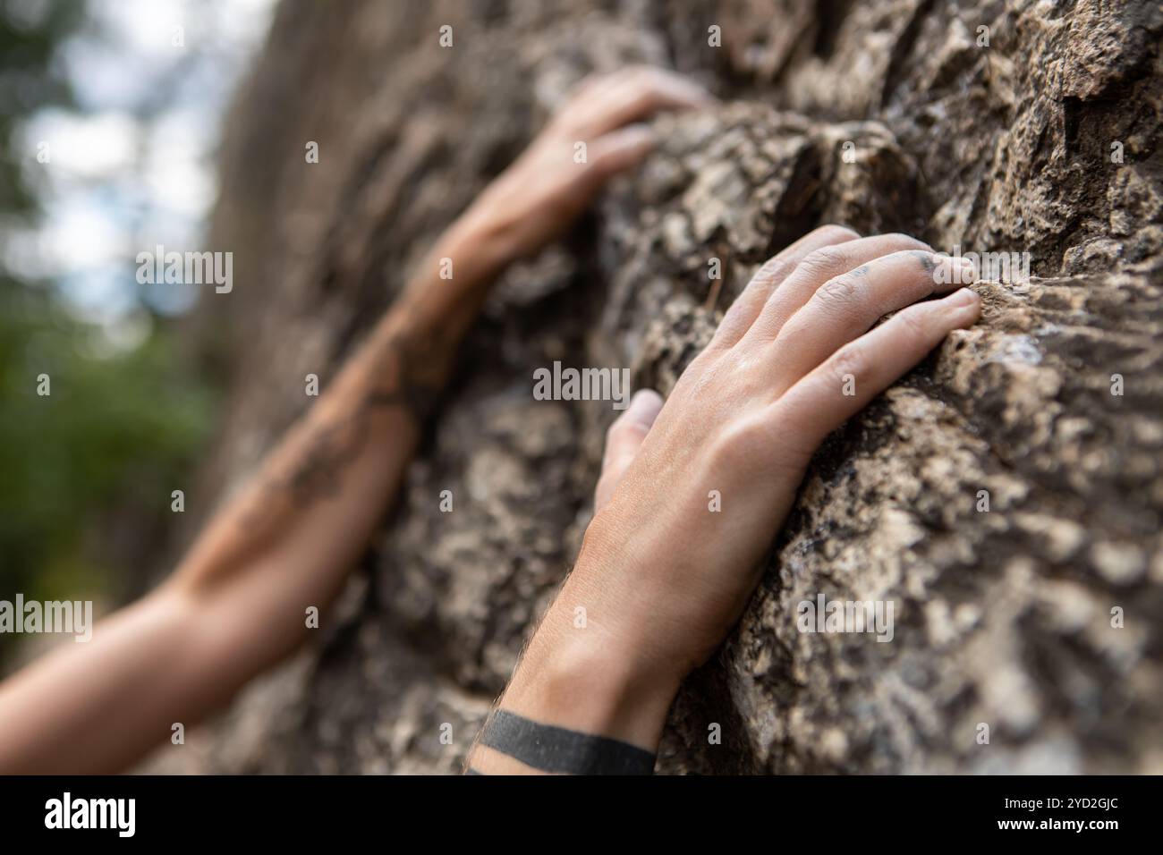 Hands of a traditional rock climber Stock Photo - Alamy