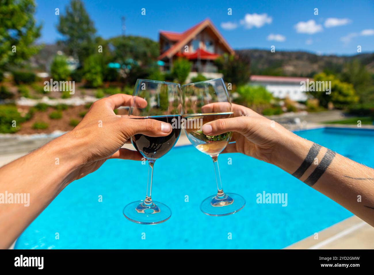 Wine drinking tasting on swimming pool Stock Photo - Alamy