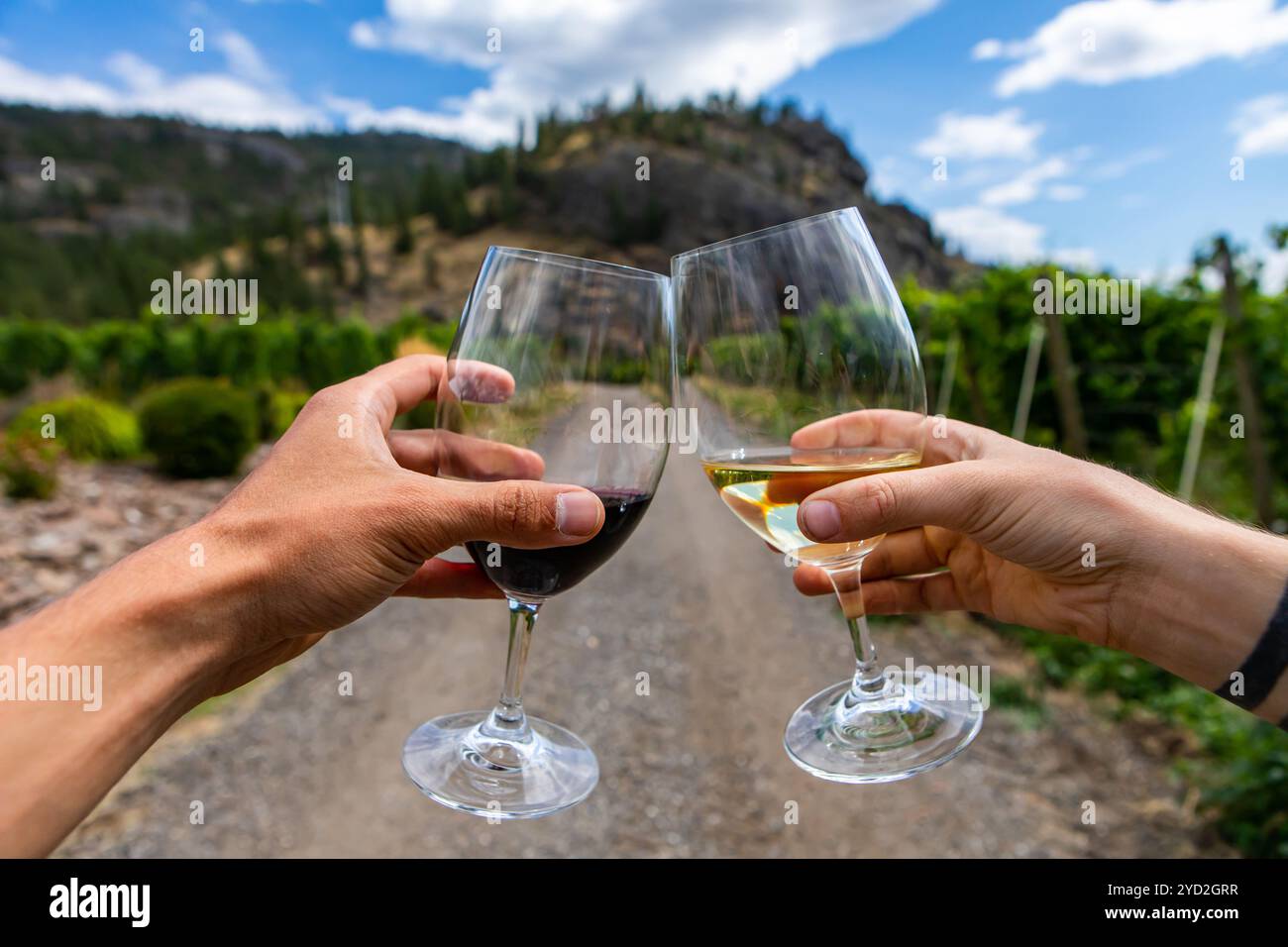 Woman tasting red wine winery hi-res stock photography and images - Alamy