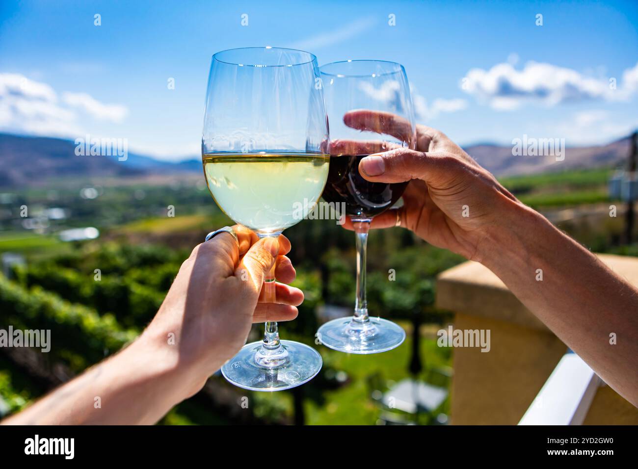 Couple cheering white, red wine glasses Stock Photo - Alamy