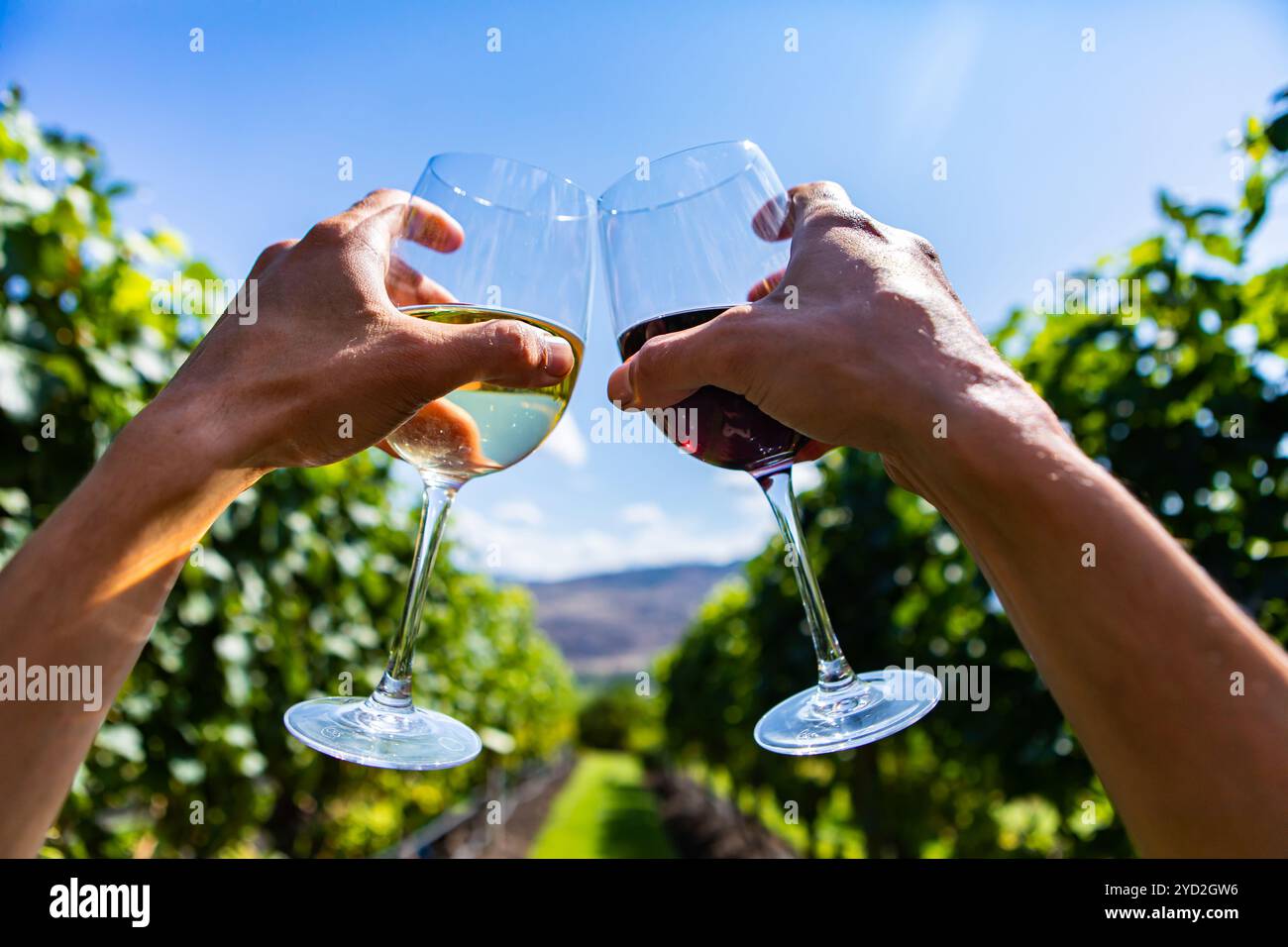 Couple cheers wine italy hi-res stock photography and images - Alamy