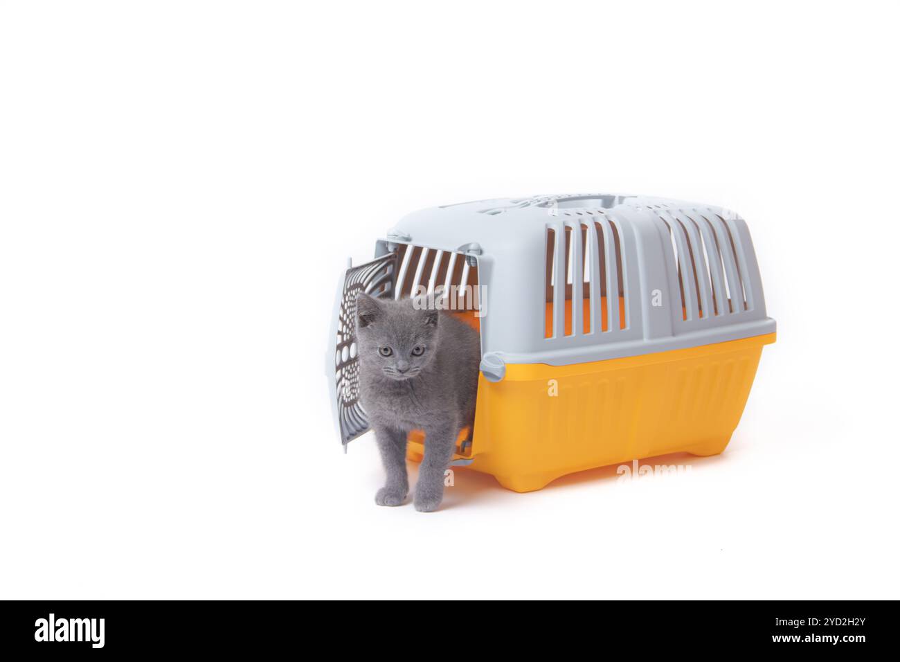 Carrier for cats and small dogs isolated on a white background. safe ...