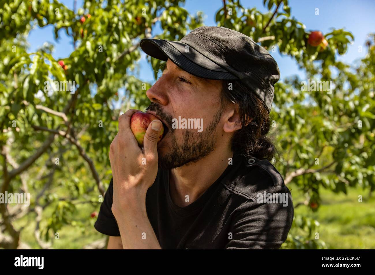 Peach man hi-res stock photography and images - Alamy