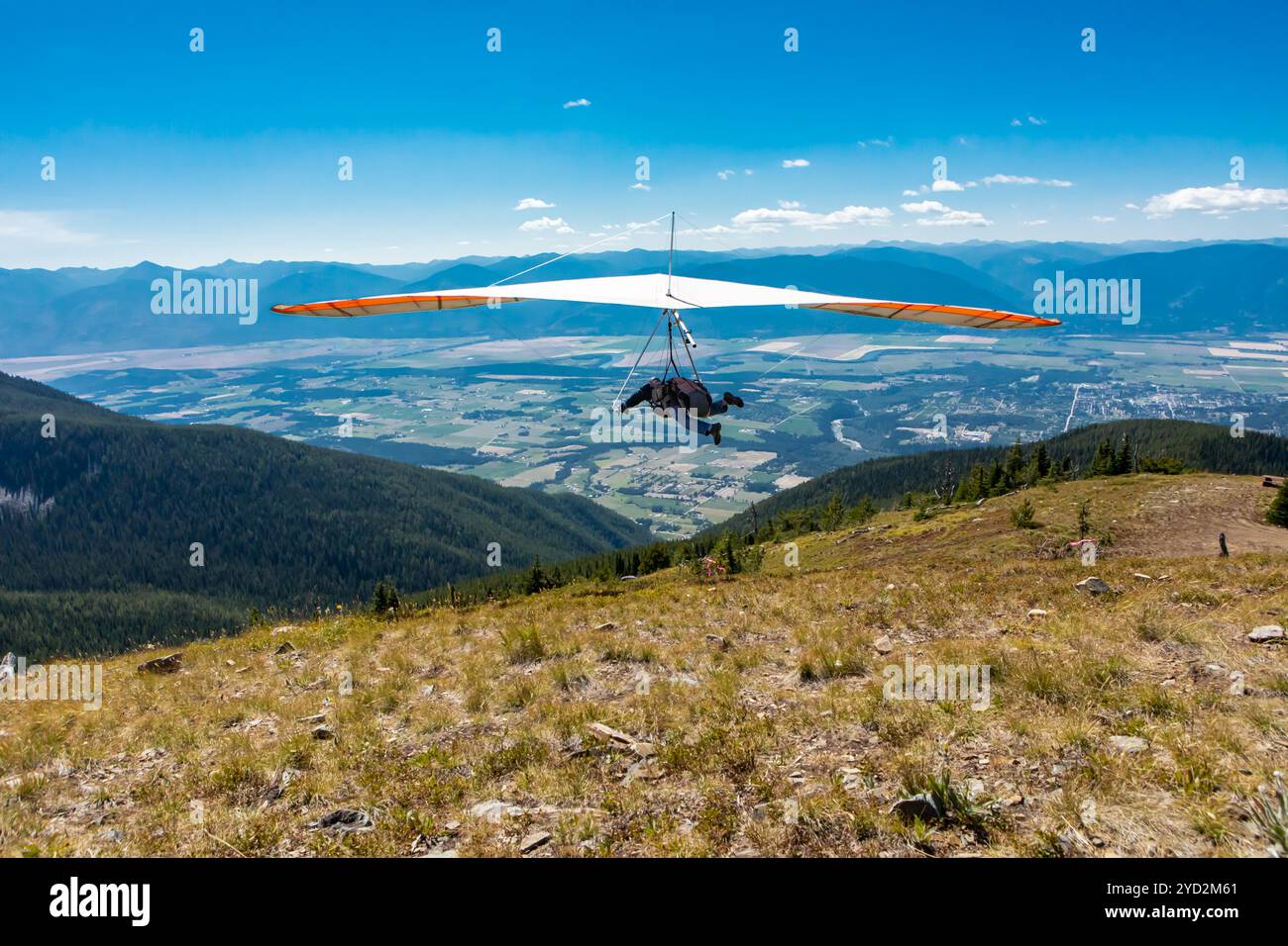 Delta glider hi-res stock photography and images - Alamy