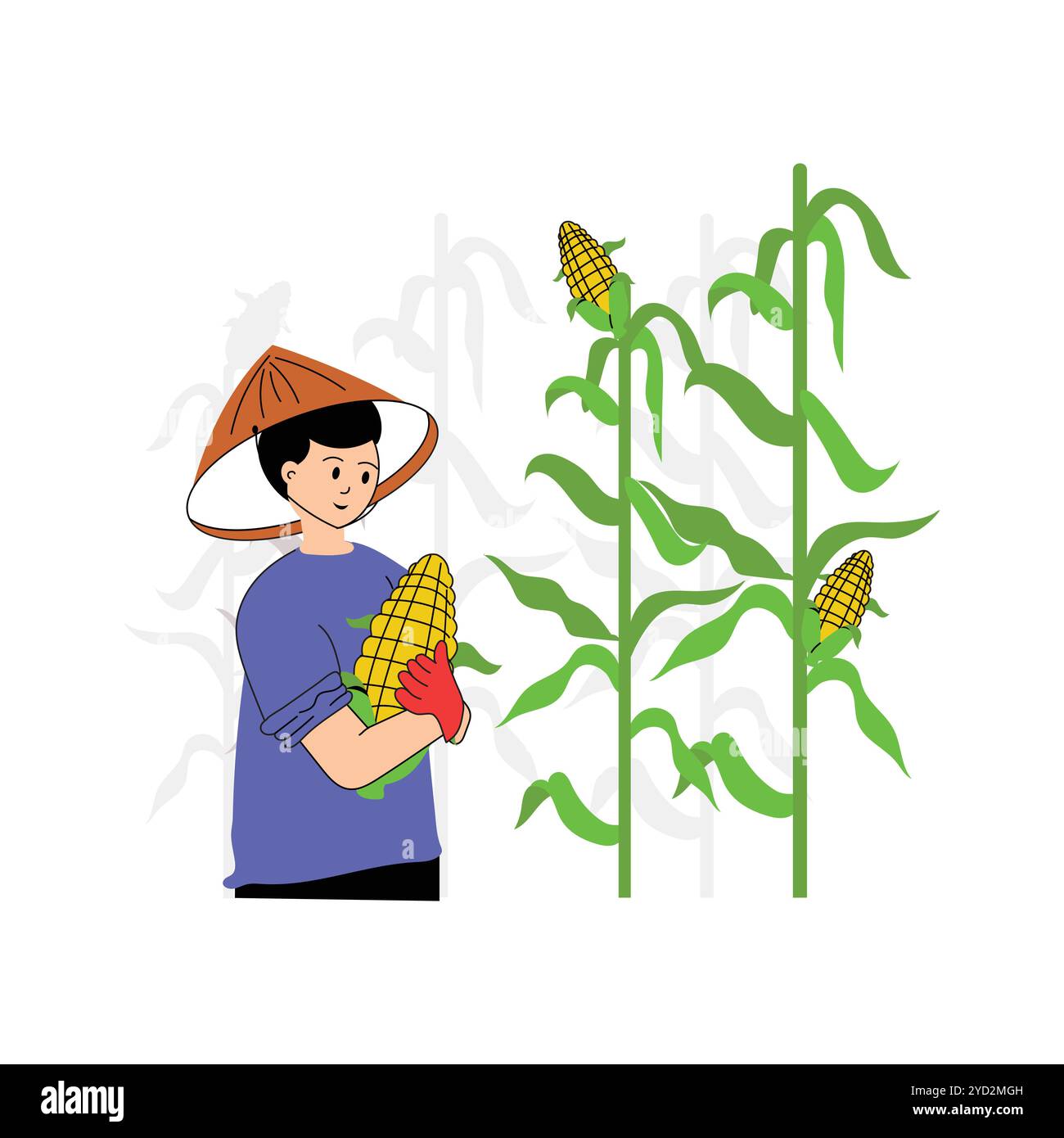 Cutting corn stalks hi-res stock photography and images - Alamy