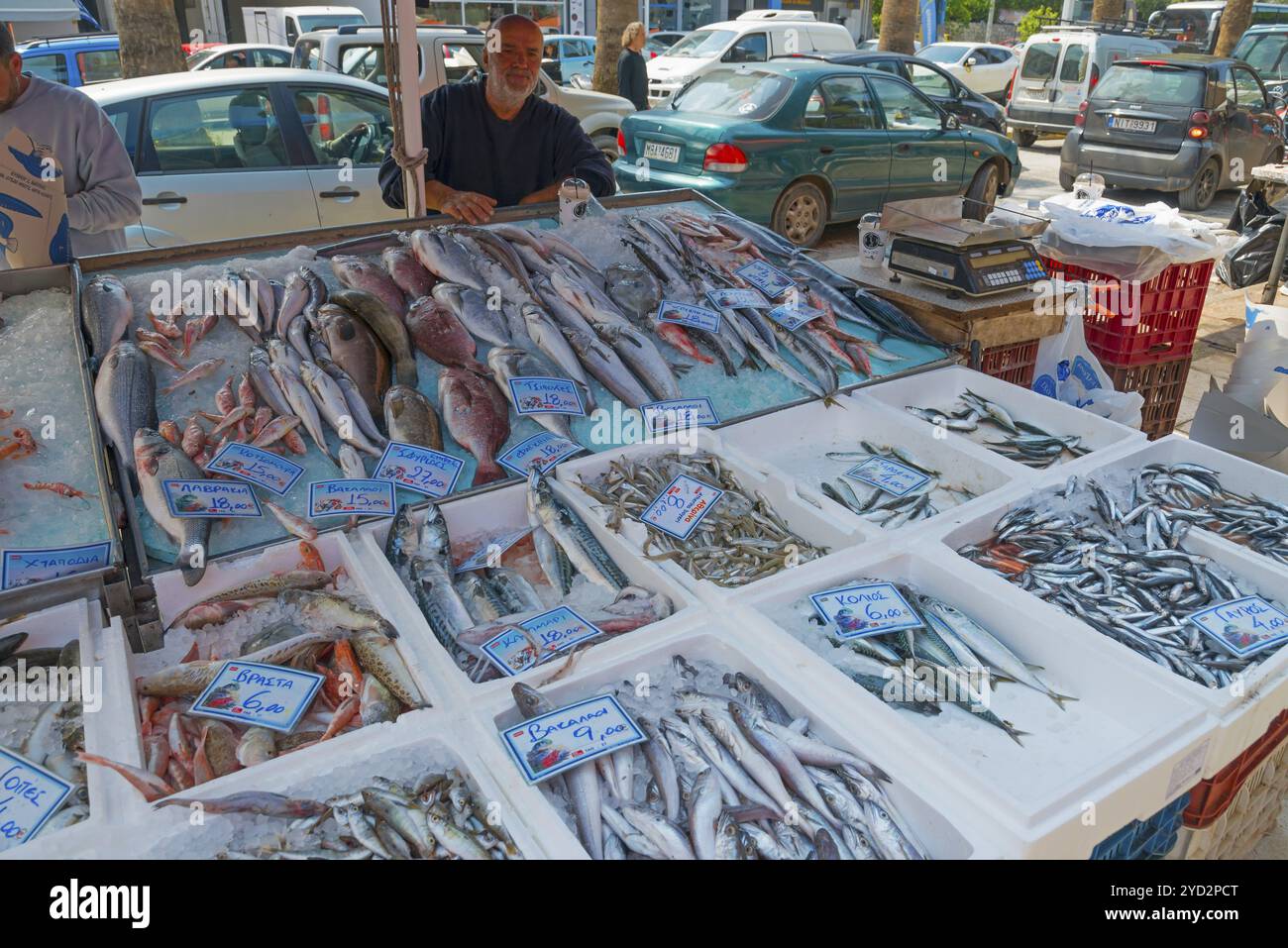 Fish market with various fish and seafood. Traders stand behind the ...
