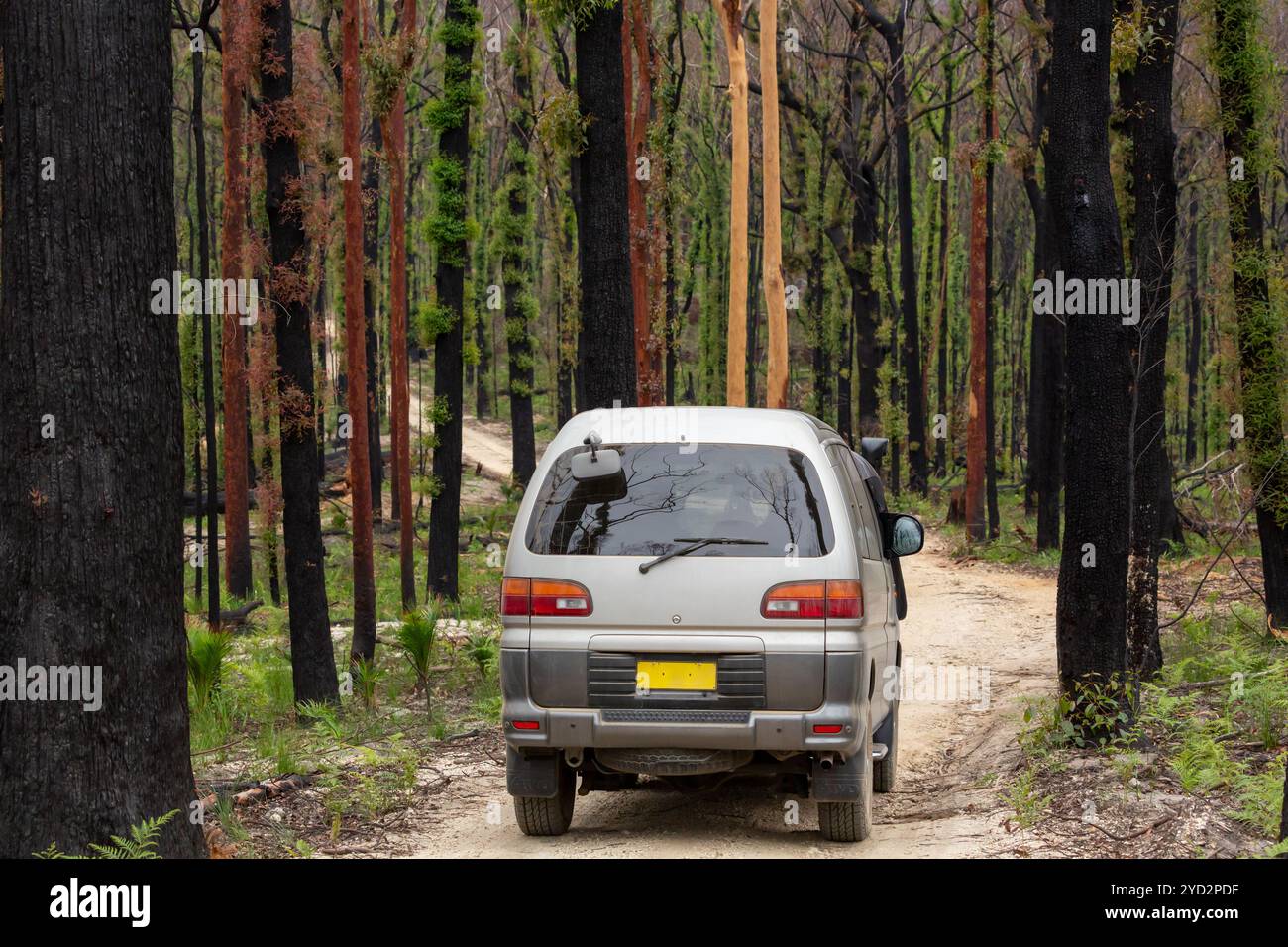 Driving the back roads of Mogo through burnt bush land Stock Photo - Alamy