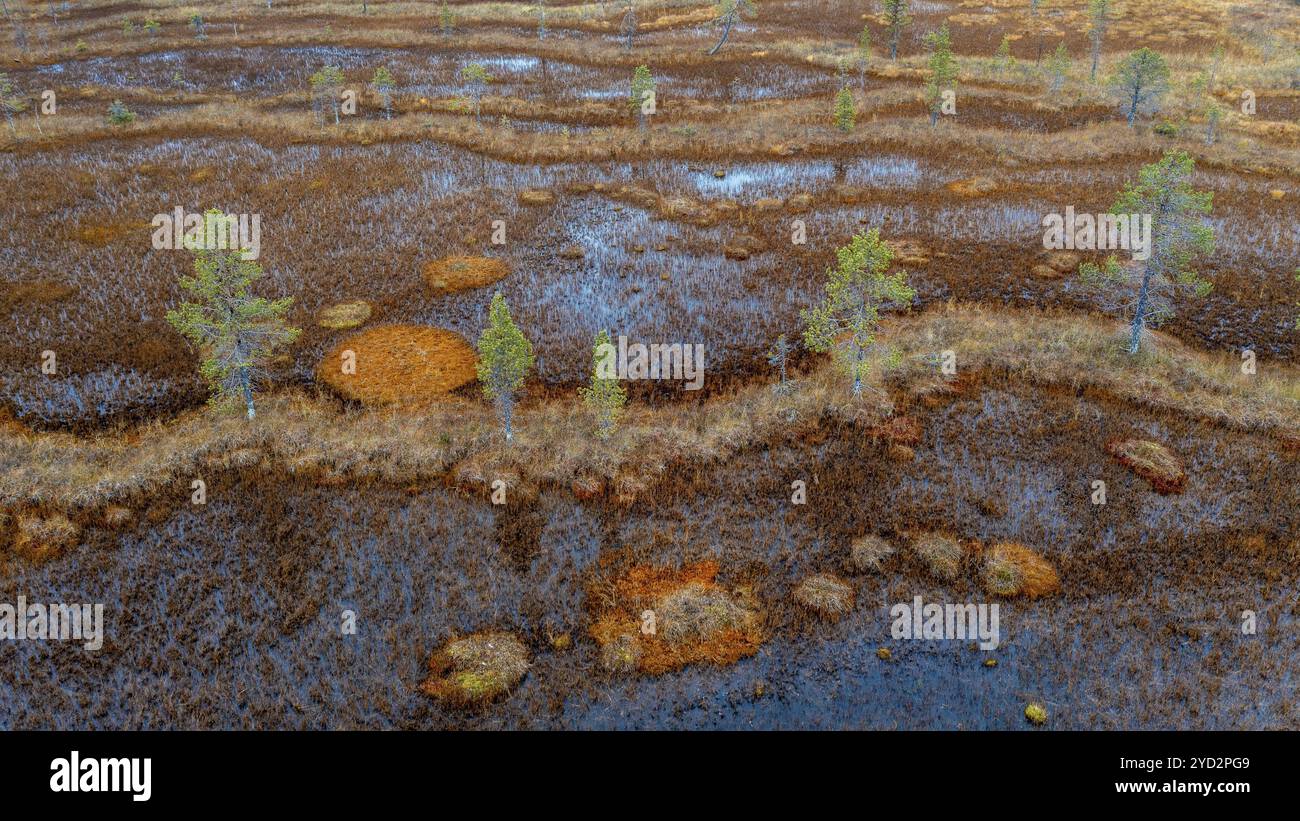 Aerial close up view autumn hi-res stock photography and images - Alamy